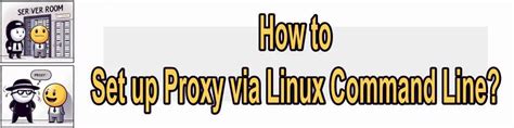 How To Set Up Proxy On Ubuntu Debian Via Command Line Veeble Hosting