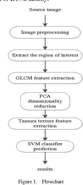 Figure 1 From Crowd Density Estimation Based On Texture Feature Extraction Semantic Scholar