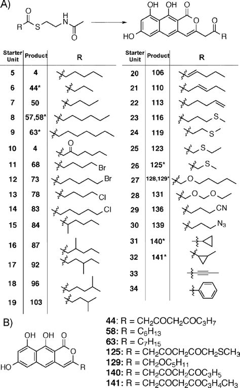 Figure 1 From Starter Unit Flexibility For Engineered Product Synthesis By The Nonreducing