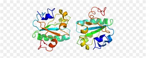 Download Pdb Model Clipart 3957239 Pinclipart