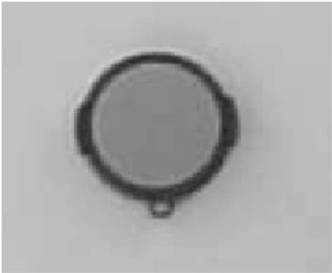A Image 4 B Histogram With Detected Peaks And Valleys C