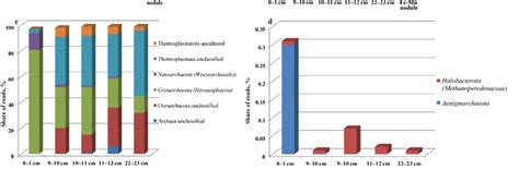 Taxonomic Composition A B Of The Bacterial And C D Archaeal Download Scientific Diagram