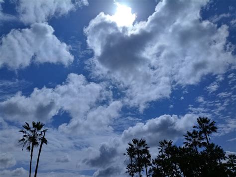 무료 이미지 하늘 구름 나무 푸른 녹색 어두운 흐린 날씨 식물 Almost Rained 시골의 부시 내부 낮 적운 자연 경관 분위기 기상