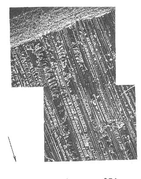 Figure 11 From Evaluation Of Mode Ii Fracture Toughness In