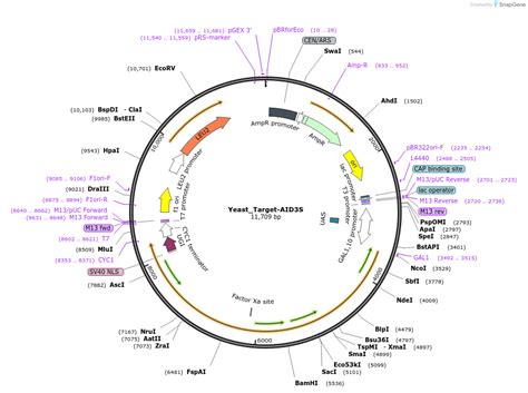 Addgene Yeast Target Aid3s