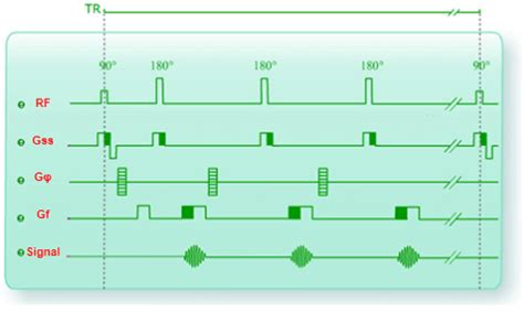 Fast Spin Echo Sequence Mri Sequences Guide