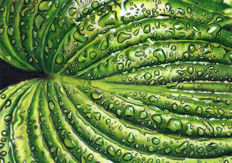 Fabulous Grayscale Coloring Tips Huelish Grayscale Adult Coloring Books