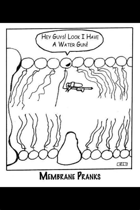 Diffusion Jokes At Jessica Zelman Blog