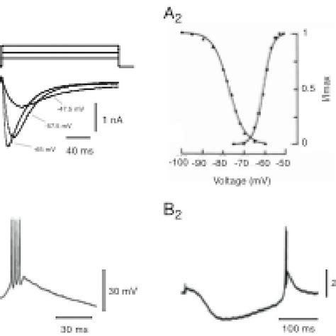 Voltage Dependence Of The T Type Calcium Current A1 T Currents