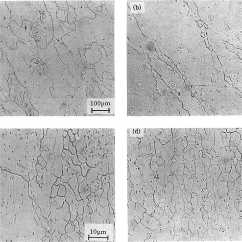 Development Of Ferrite Dynamic Recrystallization In The Ti Steel When Download Scientific