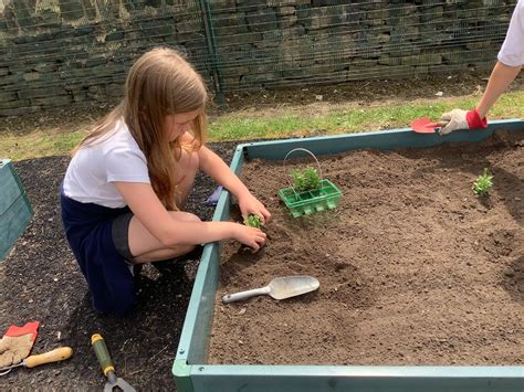 Computing Towngate Academy