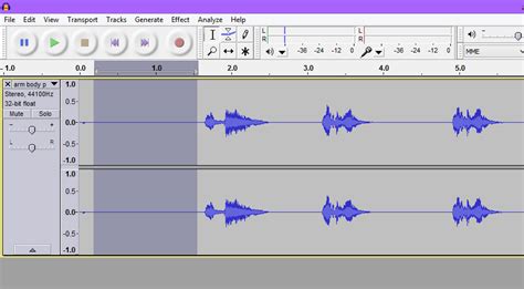 Using Audacity To Remove Background Noise Lingopolo