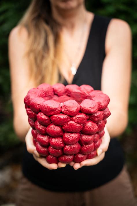 Diy Concrete Raspberry Planter Fun Garden Decor Shelterness