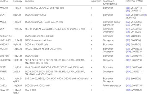 The Expression Of LncRNA In OSCC Download Scientific Diagram