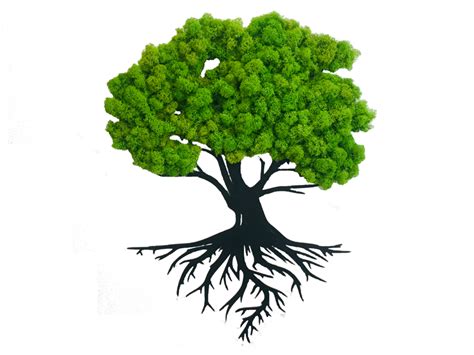 Preserved Reindeer Moss Tree Oak Moss Shopeu