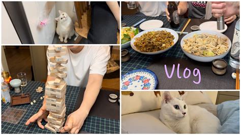 Vlog 고양이와 함께하는 집사일상집에서 친구들과 젠가하고 논 주말 더현대 떡볶이 벚꽃구경 티아시아키친 다이소