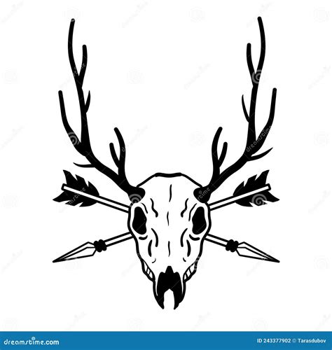 Calavera De Ciervo Con Flecha En La Cabeza Ilustración Del Vector