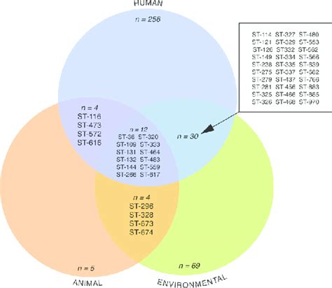 venn diagram of sequence types sts determined by multilocus sequence