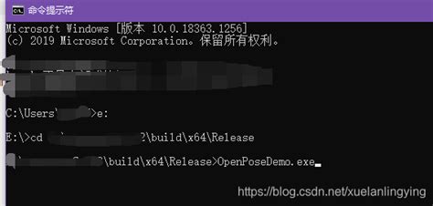 Openpose笔记——在编译好的openpose C代码上跑自己的图片和视频c Openpose Csdn博客