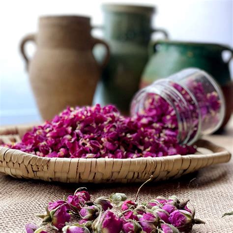 گل سرخ خوشه‌چین