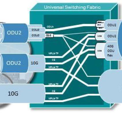 Universal OTN Switching Concept Download Scientific Diagram
