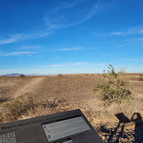 14 Best And Fun Things To Do In Blythe Ca Touristchief