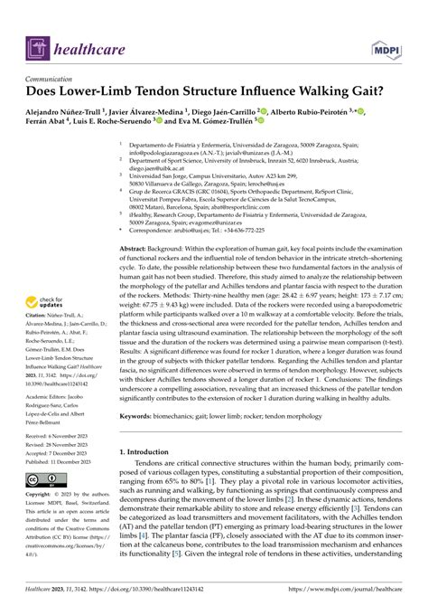 Pdf Does Lower Limb Tendon Structure Influence Walking Gait