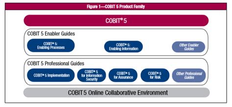 Ajeng Ghita Syafira Audit Teknologi Sistem Informasi Cobit 5