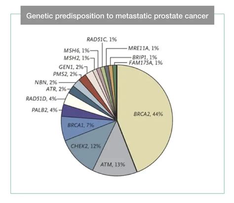 What Is Genetic Predisposition Definition Mechanism And Test Genetic Education