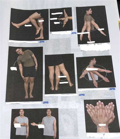 Synovial Joint Movements 1 Diagram Quizlet