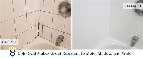 If Your Showers Grout Lines Are Cracked You Are In Need Of A Grout
