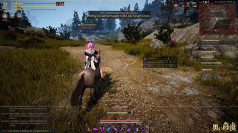 Black Desert Best Pve Classes