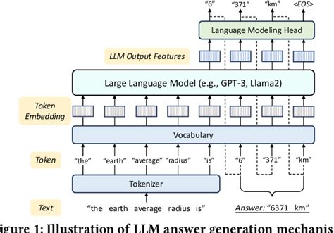 Large Language Model Adaptation For Networking