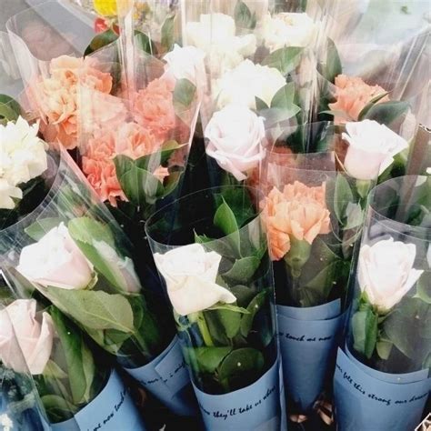 카네이션 한송이2000단체주문받아요 경기도 안산시 상록구 성포동 꽃집꽃배달 당근 비즈 소식