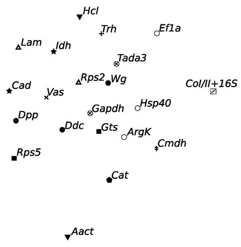 Multi Dimensional Scaling Ordination Of Pairwise Robinson Foulds