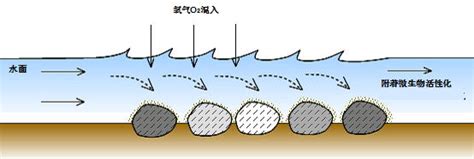 Jwg 日本水生态协会
