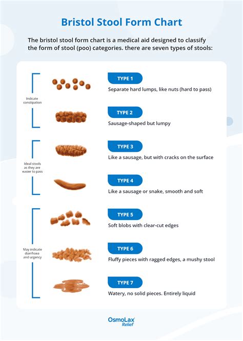 Bristol Stool Chart Printable