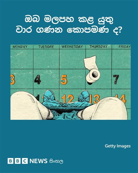 Bbc ඔබ දිනකදී කොපමණ වරක් මලපහ කරනවා ද මලපහවල ස්වභාවය අනුව ඔබේ සෞඛ්‍ය තත්ත්වය මැන ගන්න
