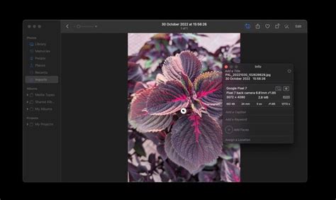4 Ways To View An Images Exif Metadata On A Mac