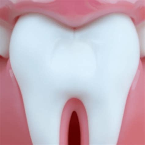 hydroxyapatite and cpp acp for tooth remineralization a natural