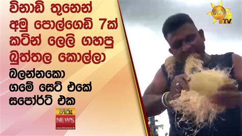 විනාඩි තුනෙන් අමු පොල්ගෙඩි 7ක් කටින් ලෙලි ගහපු බුත්තල කොල්ලා Hiru News Youtube