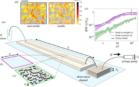 The Analytical Solution C X T Of The One Dimensional Advection Download Scientific Diagram