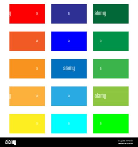 Collection Of Colored Rectangle Shapes Interior Design Palette Hand Drawn Art Vector