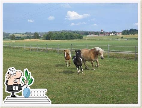 Gasthaus Stadelmann Colmberg Speisekarte Preise Und Bewertungen