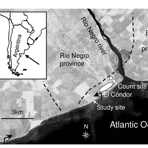 Location Of The Burrowing Parrot Colony And The Study Sites At El