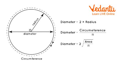 Radius And Diameter Of A Circle