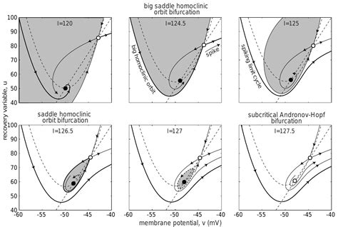 15 The Sequence Of Bifurcations Of The Rs Model Neuron