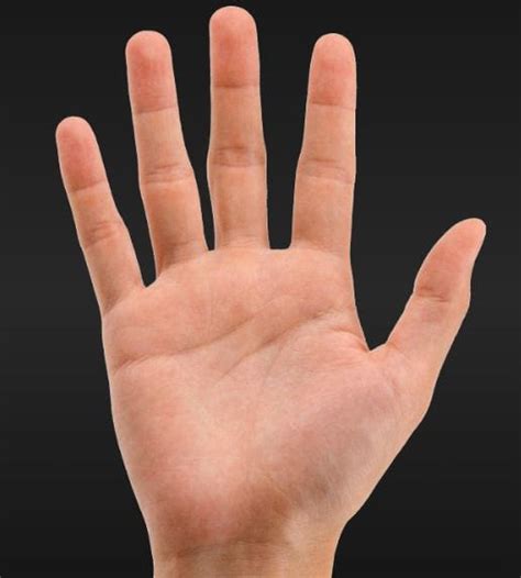 Ringo Instance Segmentation Model By Ringworm