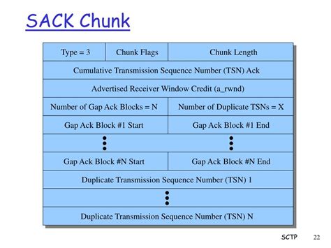 ppt lecture 9 sctp sockets powerpoint presentation free download