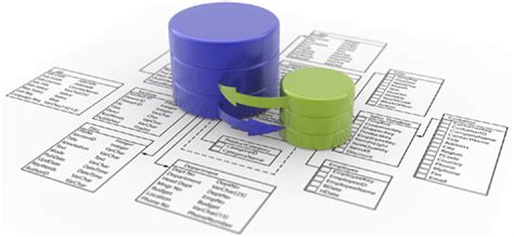 New York Web Design Custom Database Design And Development City Wide